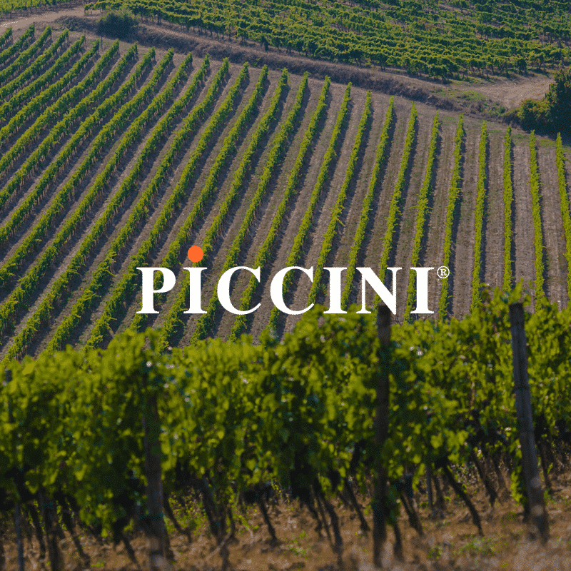 Collezione Oro Chianti Riserva - Piccini 1882