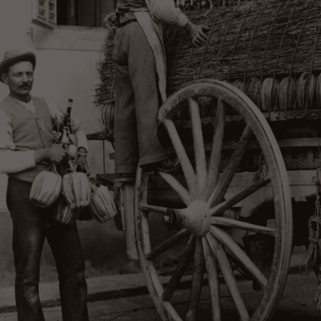 Piccini Wines - Piccini 1882