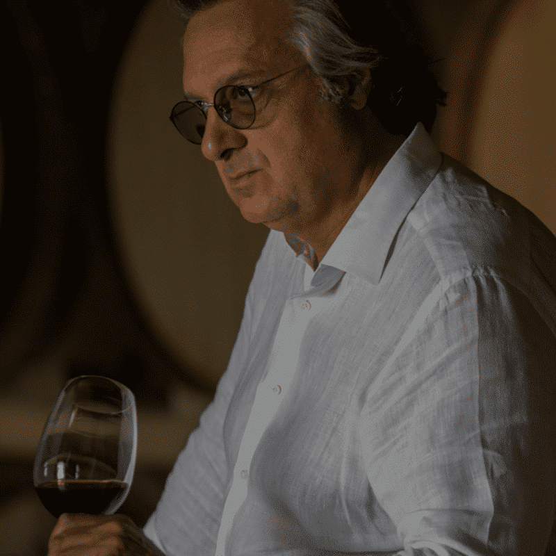 Piccini Wines - Piccini 1882